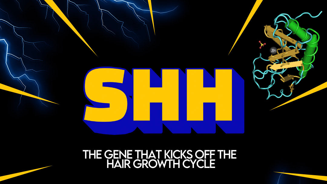 Understanding the Sonic Hedgehog Gene: Hair Growth Insights